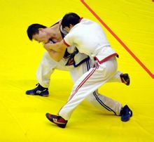 Chinese stijl worstelen - Pagina's [1] - Wereld encyclopedische kennis