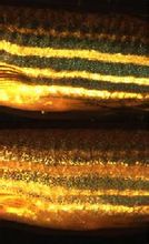 Zebravis - Pagina's [1] - Wereld encyclopedische kennis